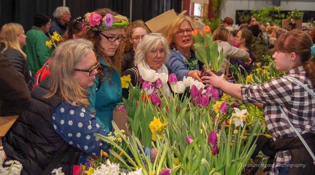 2019 Photos and Videos - Green Works, the Vermont Nursery and Landscape ...